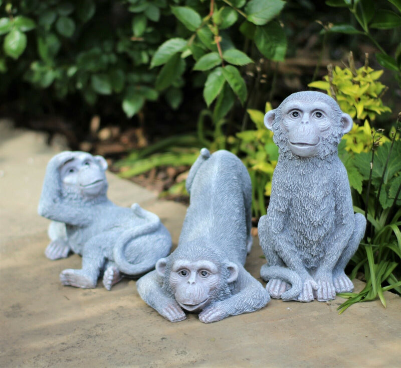 3 Cheeky Monkeys – The Home Hut